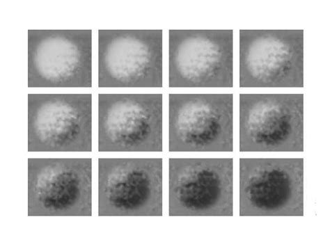 Time And Spatially Resolved Magnetization Dynamics Driven By Spin