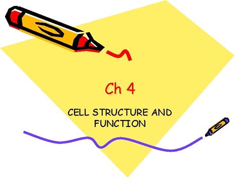 Ch CELL STRUCTURE AND FUNCTION The Cell