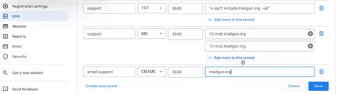 Setting Up Whitelabel Domain Api Domain Email Sending Domain Sites Domain Client Portal