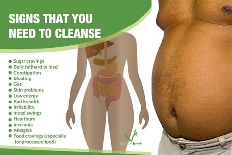 What Causes A Fat Tummy