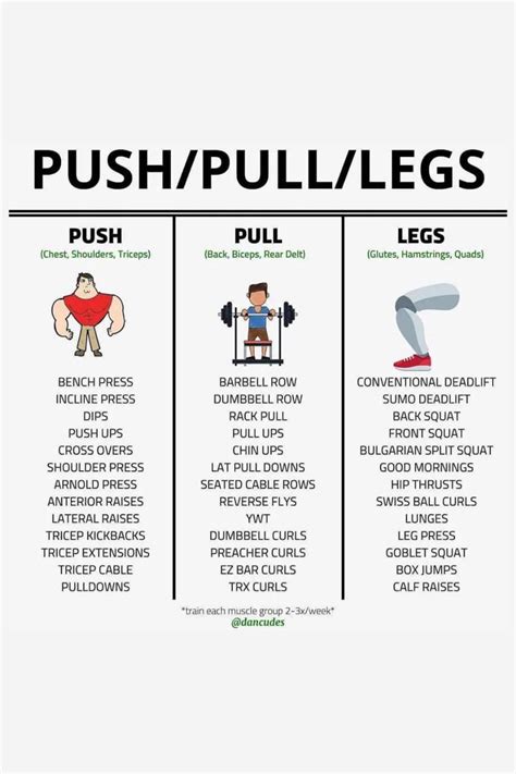 Push Pull Legs Workout Plan