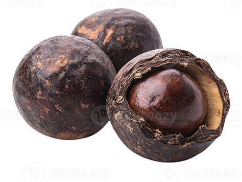 Dark Brown Nuts Close Up 58263484 Png