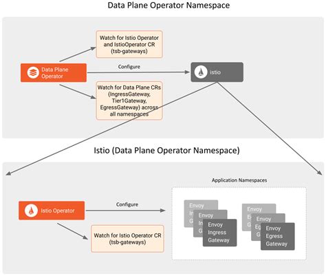 Data Plane Service Bridge