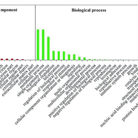 Go Classification Of Unigenes In The Categories Of Biological Process