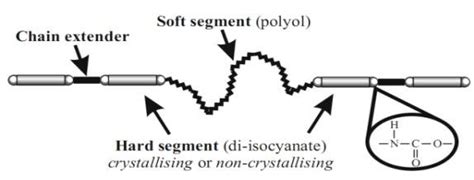 Structure Of Repeated Hard Segments And Soft Segments Of A Typical Download Scientific