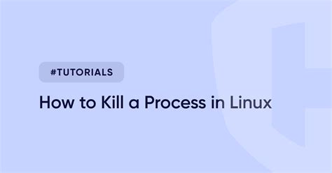 How To Kill A Process In Linux A Step By Step Guide Hostman
