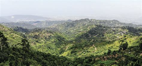 자메이카 블루마운틴이 ‘커피 황제에 등극한 비결은 장상인의 커피 한잔 ⑬