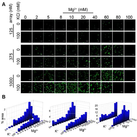 Reconstituted Nucleosome Arrays Undergo Llps In A Salt Dependent
