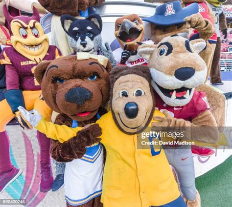 Butch T Cougar Photos And Premium High Res Pictures Getty Images