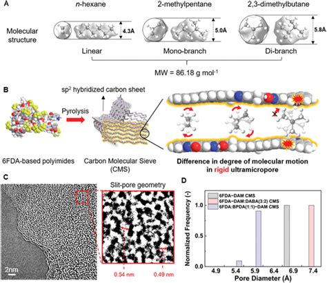 A Representative Hexane Isomers For Each Branch State Shape Download Scientific Diagram