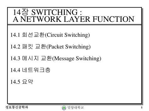 PPT 장 SWITCHING A NETWORK LAYER FUNCTION PowerPoint Presentation ID