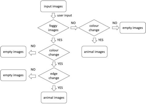 Everything I Know About Ml And Camera Traps