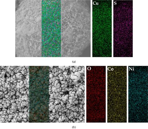 Elemental Mapping Analaysis Of A D And B M Samples Download Scientific Diagram