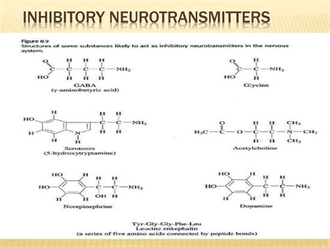Neuron And Its Structural And Functional Type By Murtaza Syed Pptx