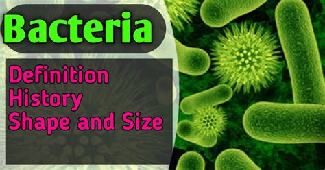 Bacteria Introduction History Reproduction Cell Structure Shape
