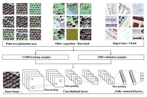 The Framework Of The Cnn For Land Cover Classification Download Scientific Diagram
