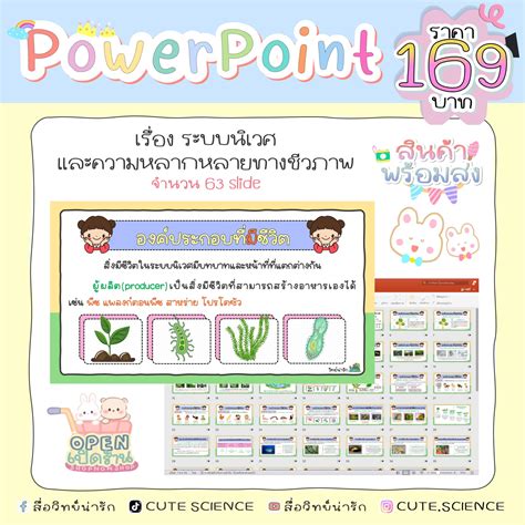 Power Point มัธยมต้น 🌈🌈 แบบแยกเรื่อง สื่อวิทย์ น่ารัก
