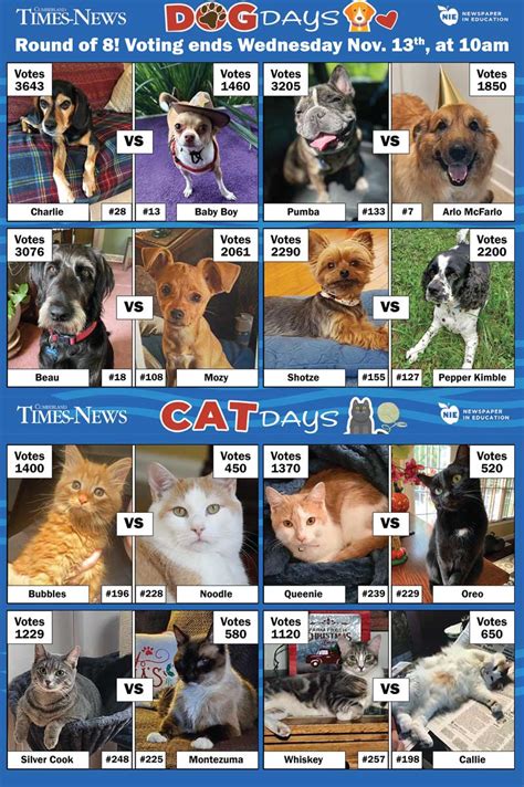 Cumberland Times News