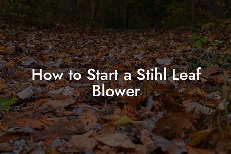 How To Start A Stihl Leaf Blower Leaf Blower Hire Uk