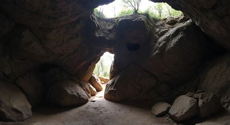 A Cave With A Tree Inside Of It And A Hole In The Side Of It Premium AI Generated Image