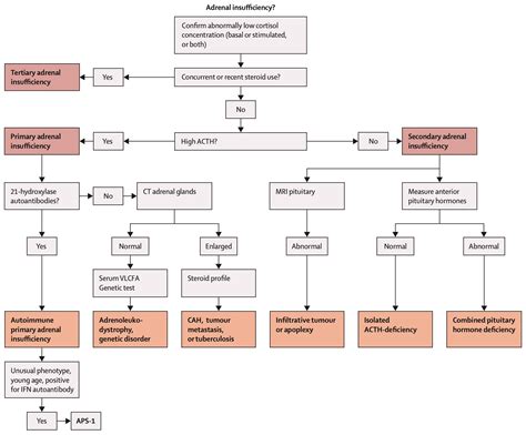 Adrenal Insufficiency Differential Diagnosis Workup Grepmed