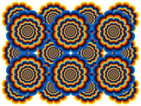 Growing Flowers Illusion