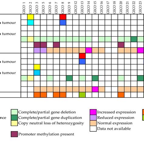 Brca1 2 Characterization In Oc Samples Scna Somatic Copy Number Download Scientific Diagram