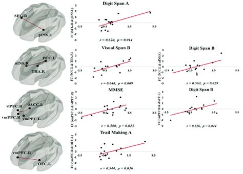 The Functional Connectivity Among Rois Was Associated With Download Scientific Diagram