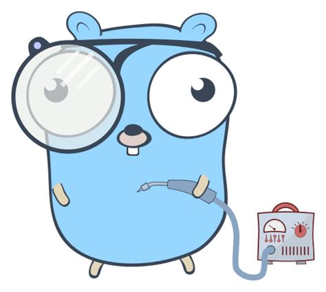 golang domain name validation domain name