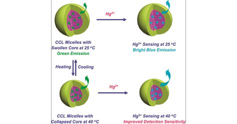 Thermoresponsive Core Cross Linked Micelles For Selective Ratiometric