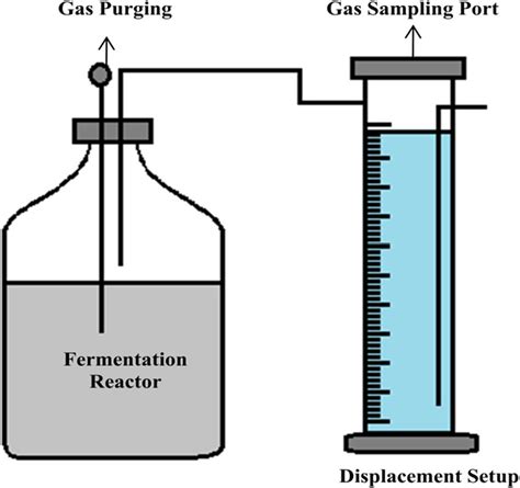 Experimental Setup Of Batch Fermentation Download Scientific Diagram