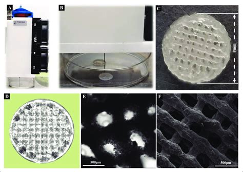 Fabrication Of 3d Printed Constructs A 3d Bioprinting Platform B Download Scientific