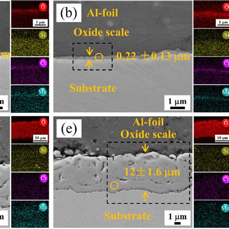 Cross Section Morphology And Eds Of The Oxide Of Investigated And