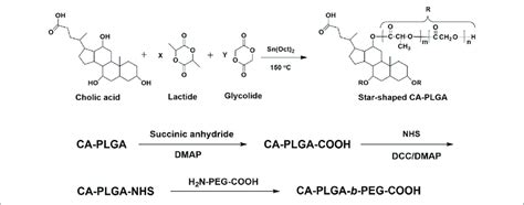 | Schematic representation of synthesis of amphiphilic block copolymer... | Download Scientific ...