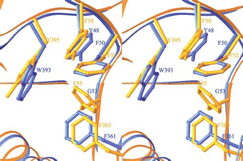 Structural Comparison Of A Representative Hydrophobic Core Formed By