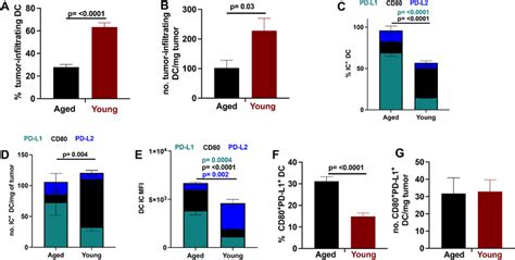 Pd‐l1 And Pd‐l2 Expression On Tumor‐infiltrating Dc Increases With Age