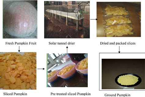 Figure 1 From Effect Of Pretreatments And Solar Tunnel Dryer Zones On