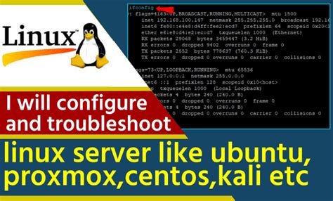 Configure And Troubleshoot Linux Server Like Ubuntuproxmoxcentoskali