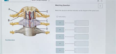 solved 7 ﻿of 70 ﻿concepts completed i matching