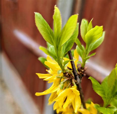 Classical Music 30032024 Easter Special