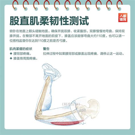 针对性拉伸干货