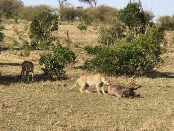 Physics Lectures Chapter 5 Rotation Rolling Torque Angular Momentum