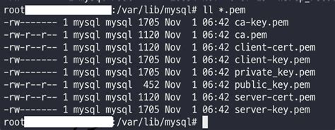 MySQL MySQL에서 SSL 인증서 사용하기