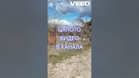 ЖИВОТ НА СЕЛО Разходка в Гората🌲 Спокойствие Природа и Чист Въздух Youtube