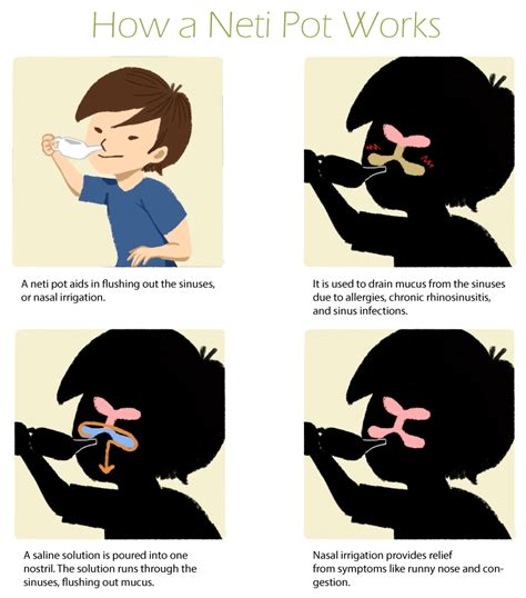 How To Use A Neti Pot To Stop Runny Nose Sense Of Urgency