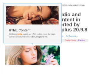 Wordpress Tooltips Plugin