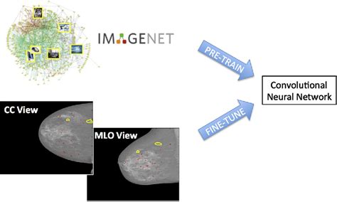 Figure 14 1 From Deep Learning Models For Classifying Mammogram Exams Containing Unregistered