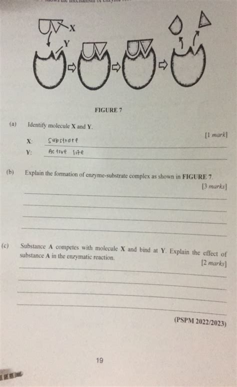 A Identify Molecule X And Y X Substrate Y Active Site B Explain The