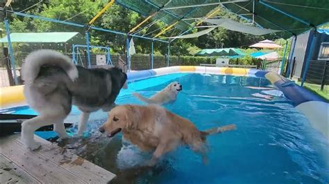 수영장 빨리 들어가는 방법 Youtube