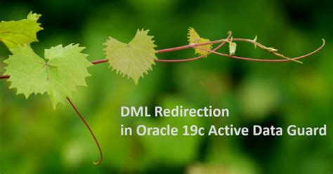 Sambaiah Sammeta On Linkedin Active Data Guard Dml Redirection Feature In 19c